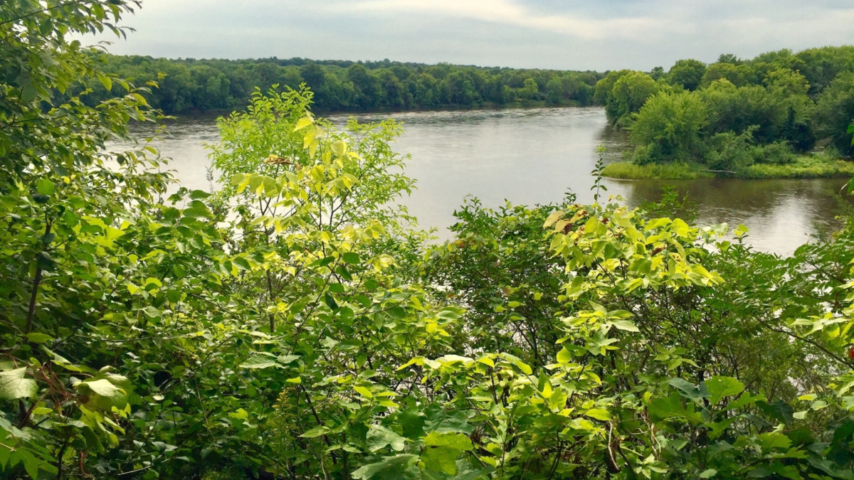 River Systems | Conservation+